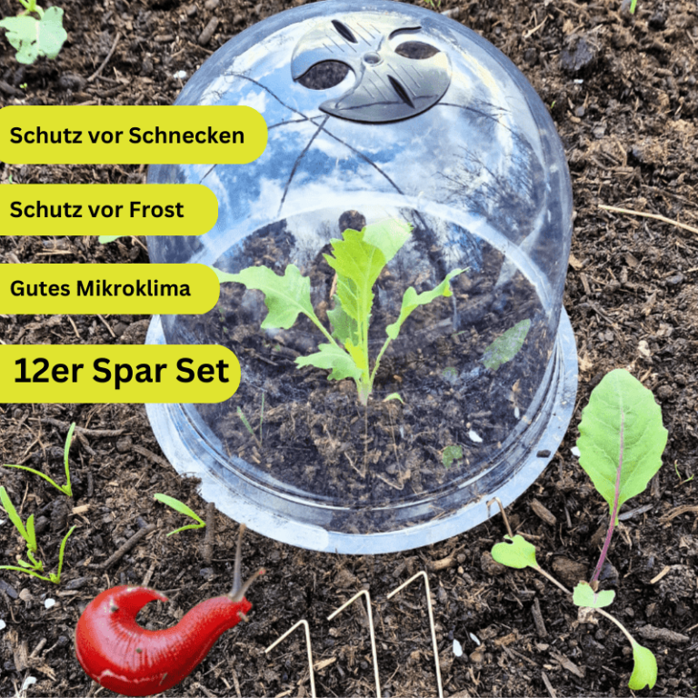 Pflanzglocke Selber Machen